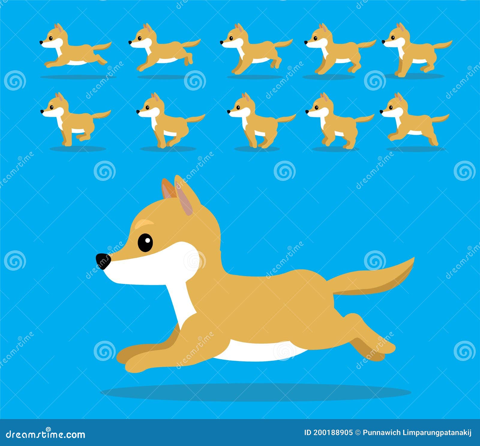 Animal Animation Sequence Dingo Dog Cartoon Vector Stock Vector ...