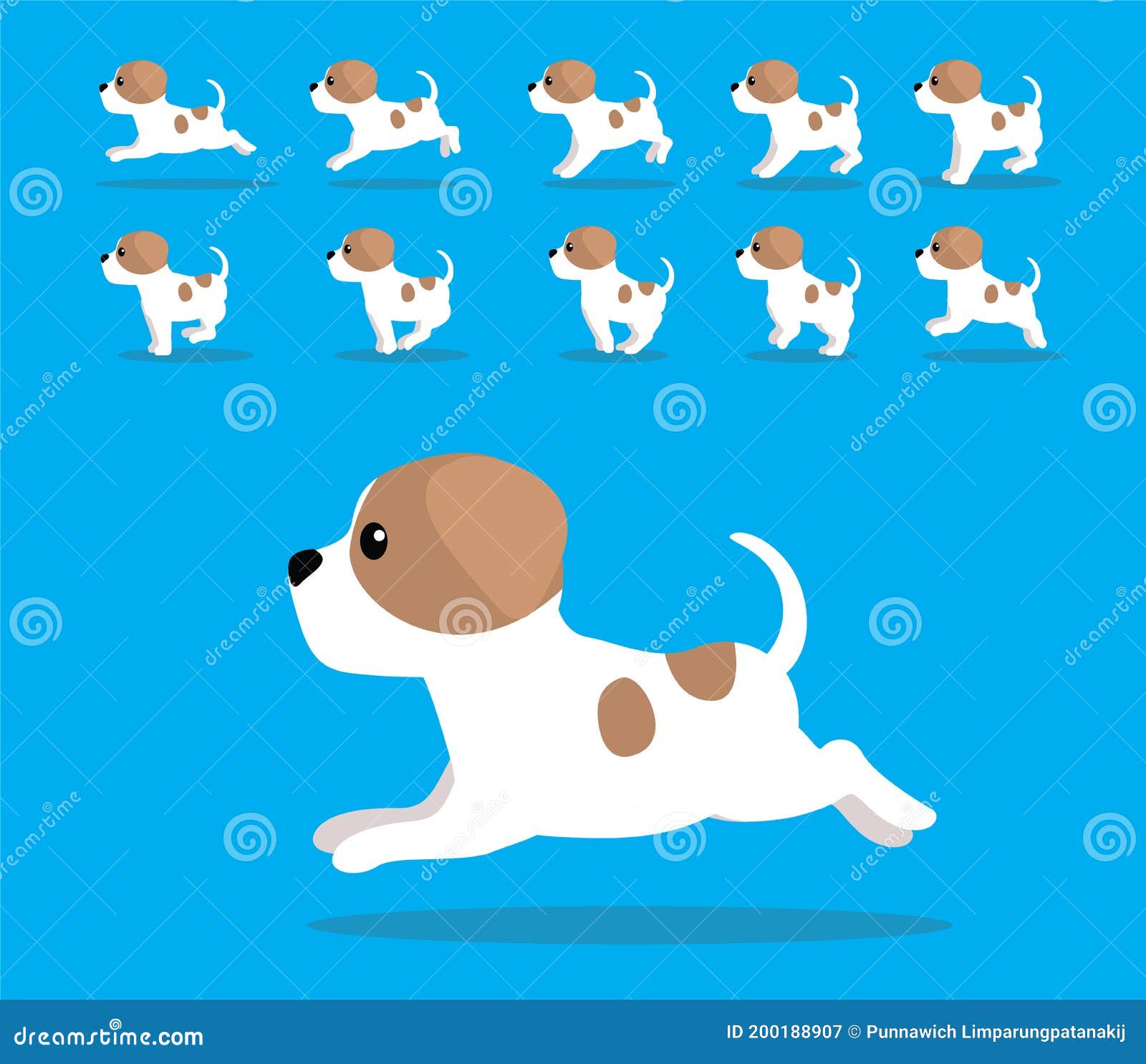Animal Animation Irrawaddy Dolphin Cartoon Vector Sequence Frame ...