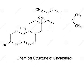 Chemical Structure of Cholesterol. Stock Vector - Illustration of ...