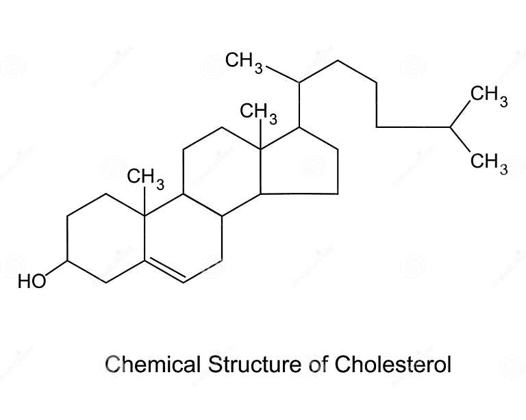 Chemical Structure of Cholesterol. Stock Vector - Illustration of ...