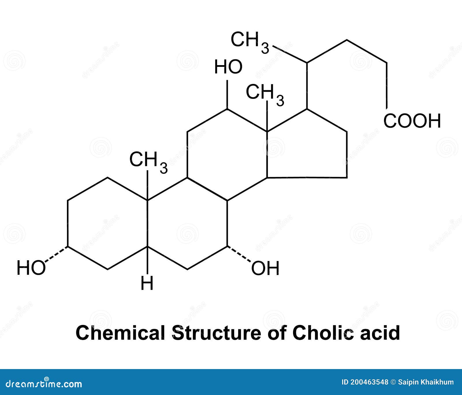 Cholic Acid Cholate Molecule. Main Bile Acid Component. Skeletal ...