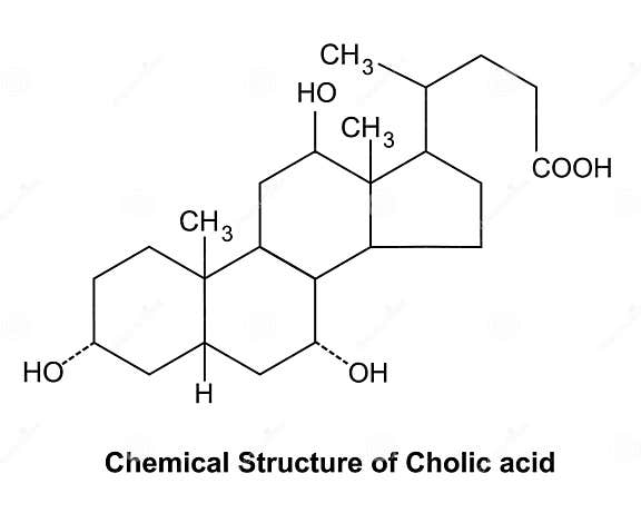 Chemical Structure of Cholic Acid Stock Vector - Illustration of ...