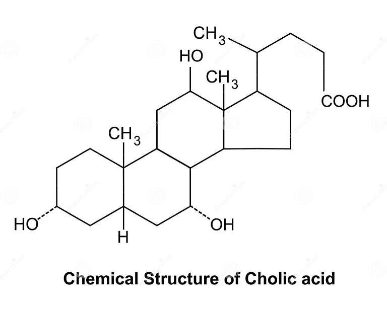Chemical Structure of Cholic Acid Stock Vector - Illustration of ...