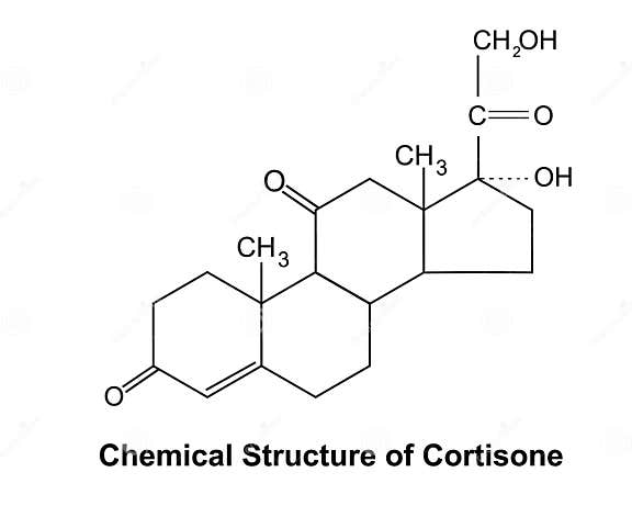 Chemical Structure of Cortisone. Stock Vector - Illustration of ...