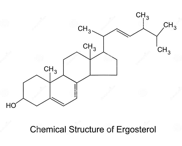 Chemical Structure of Ergosterol. Stock Vector - Illustration of print ...