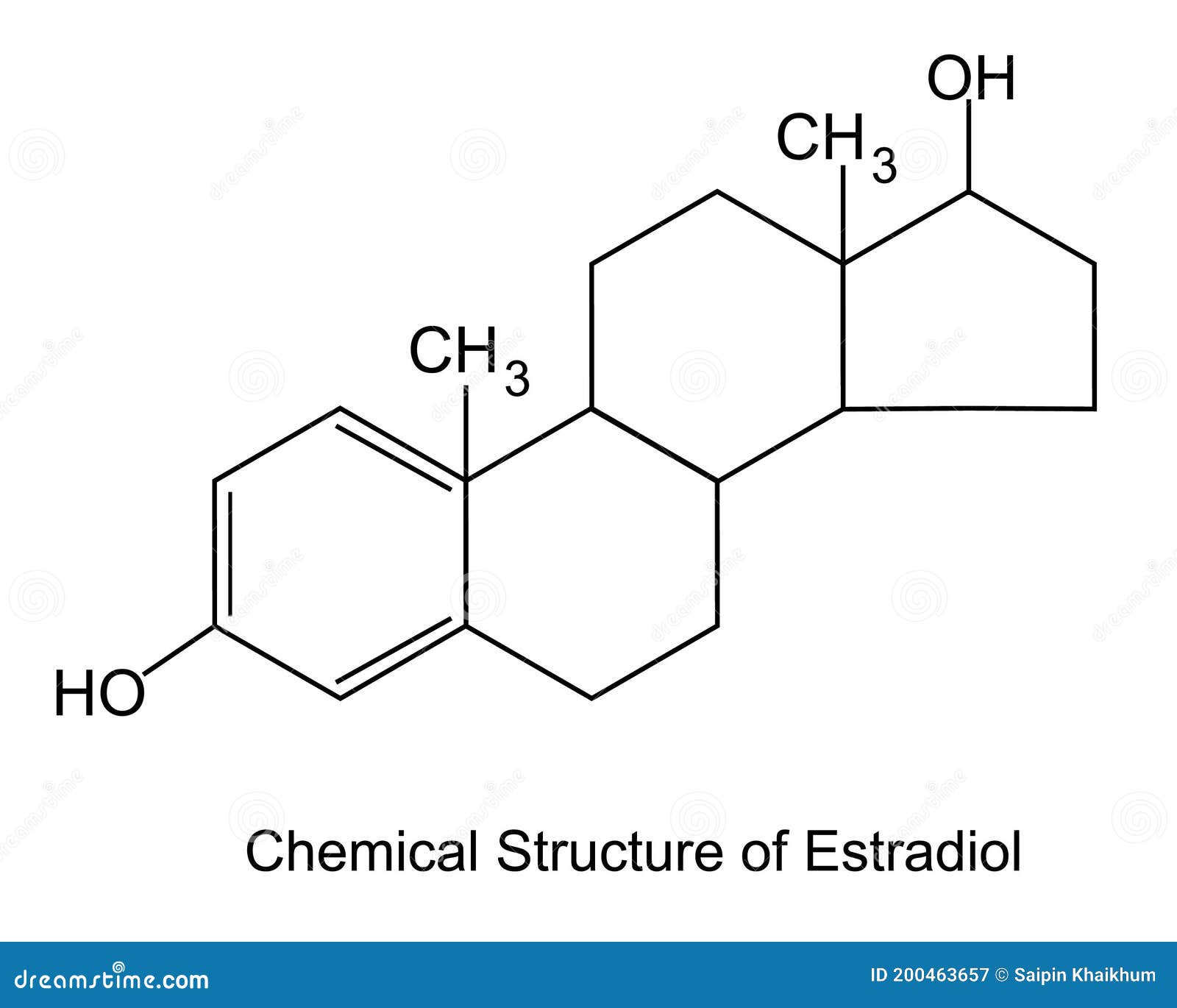 Chemical Structure of Estradiol Stock Vector - Illustration of estriol ...