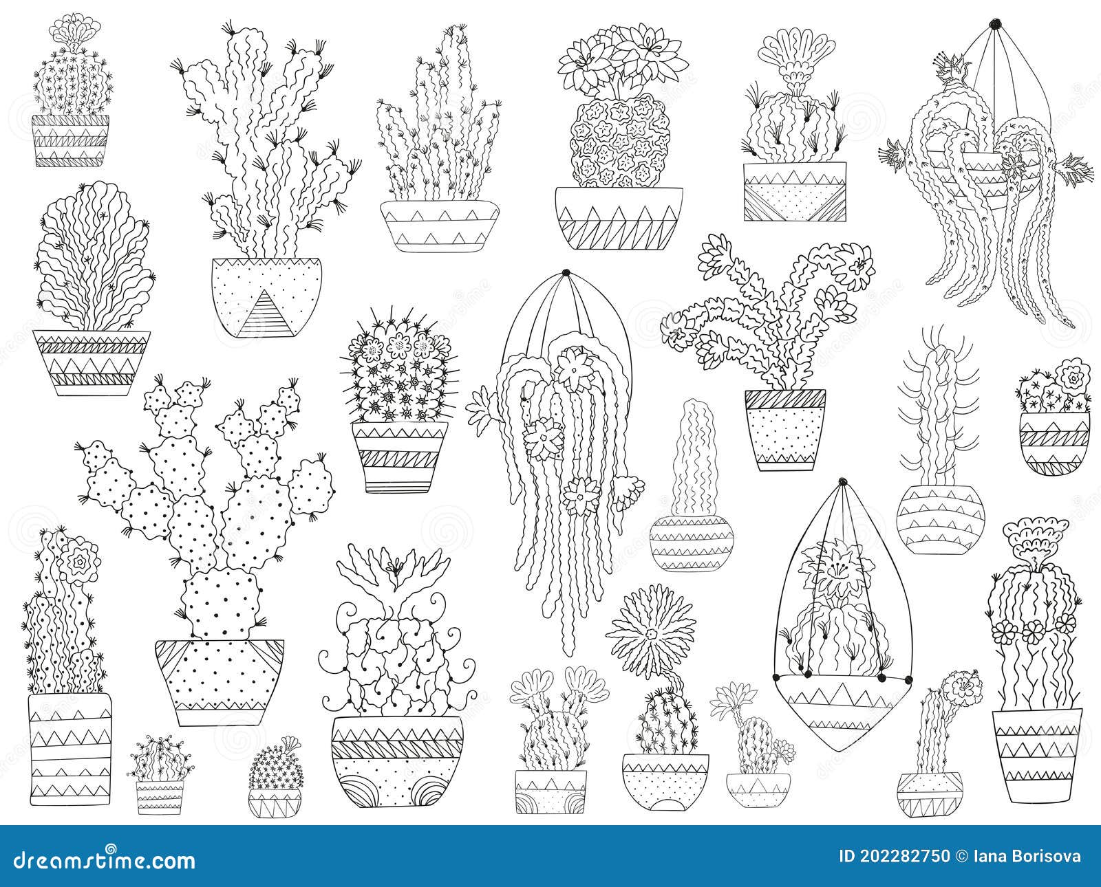 Set Of Black And White Stylized Cacti In Patterned Pots. Outline ...
