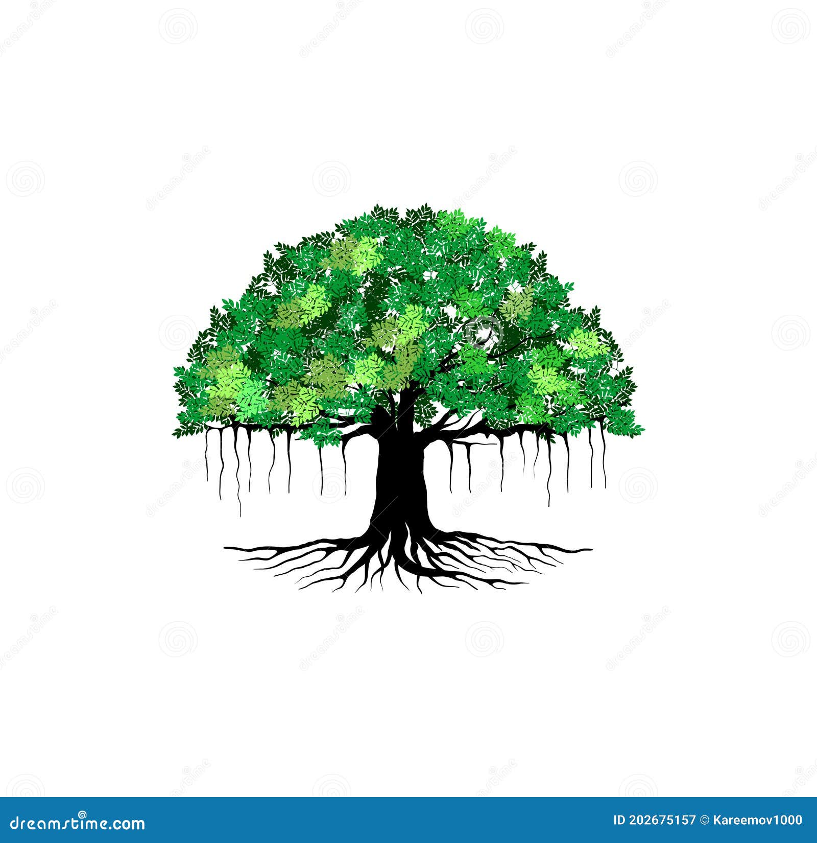 Banyan Tree Vector Hand Drawn Stock Vector - Illustration of hanging ...
