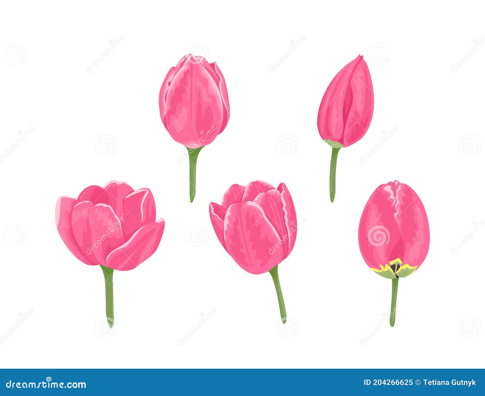 Background Of Red Buds Cartoon Vector | CartoonDealer.com #78534749