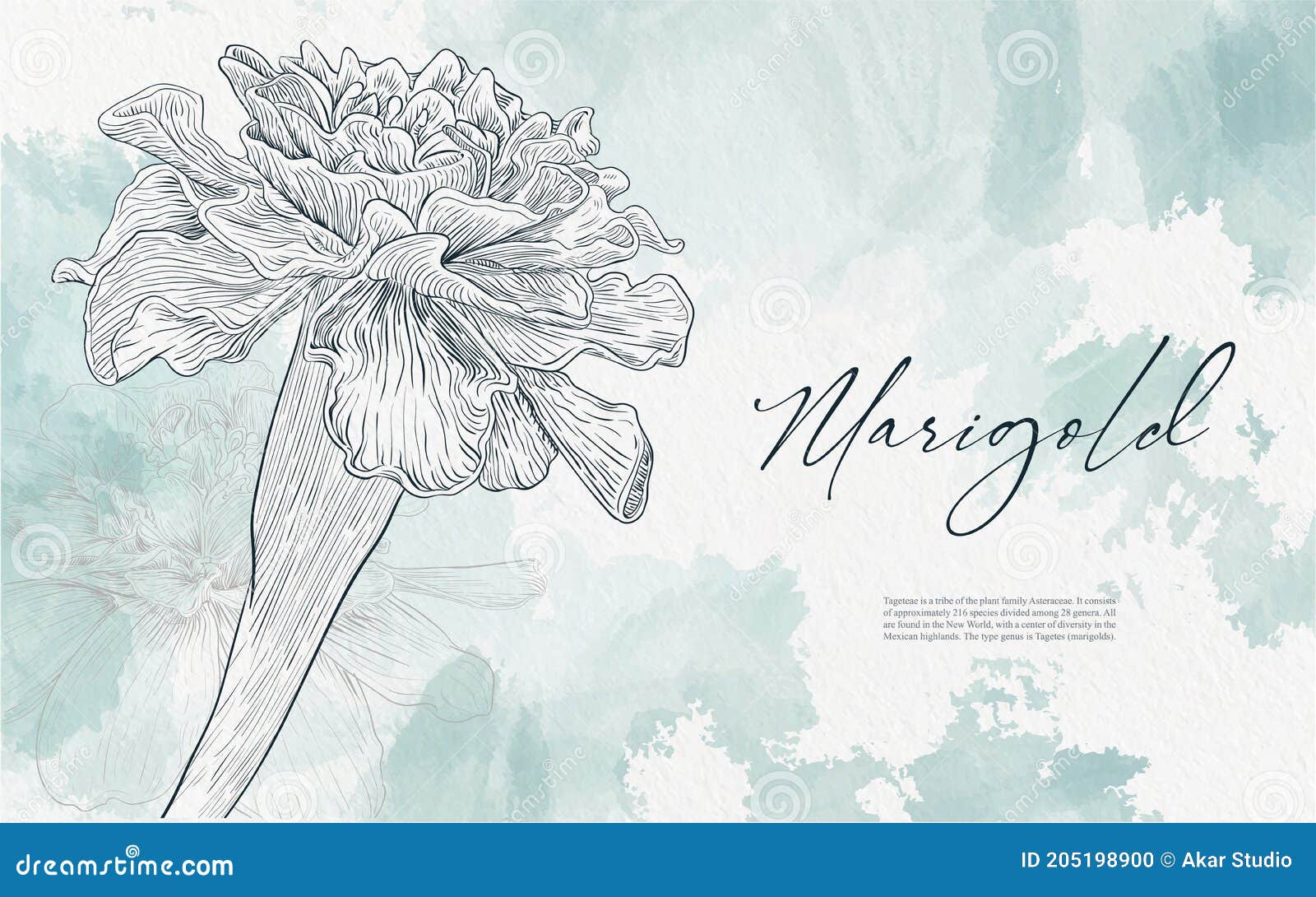 Minuta Cartoons, Illustrations & Vector Stock Images - 25 Pictures to ...