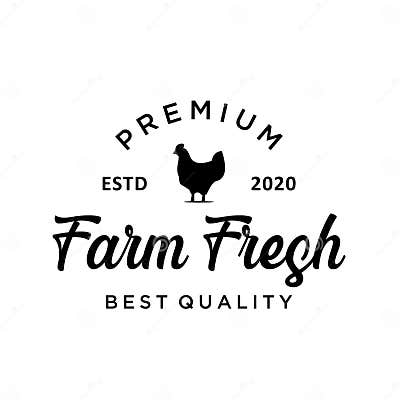 Chicken Farm Logo Vintage Premium Quality. Fresh Eggs Logo Stock Vector ...