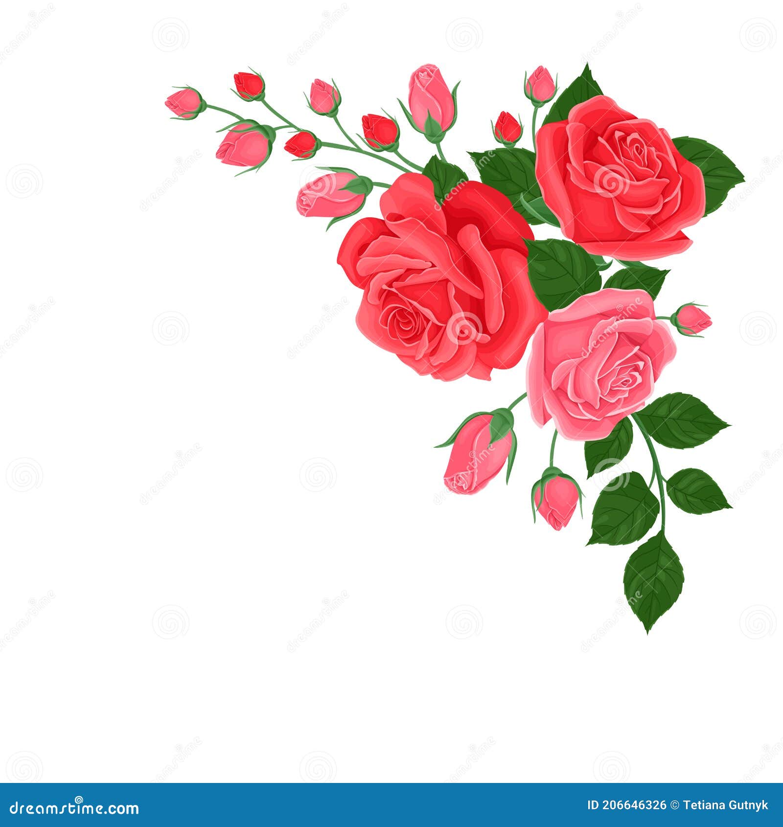 Roses Corner Border. Red, Pink, And White Roses Corner Design Element ...