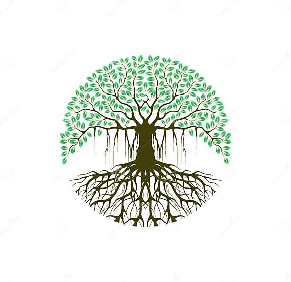 Printable Banyan Tree Image Vector Isolated Stock Vector - Illustration ...