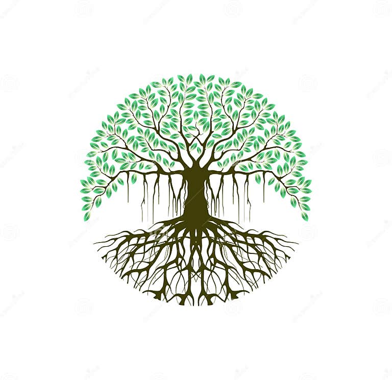 Printable Banyan Tree Image Vector Isolated Stock Vector - Illustration ...