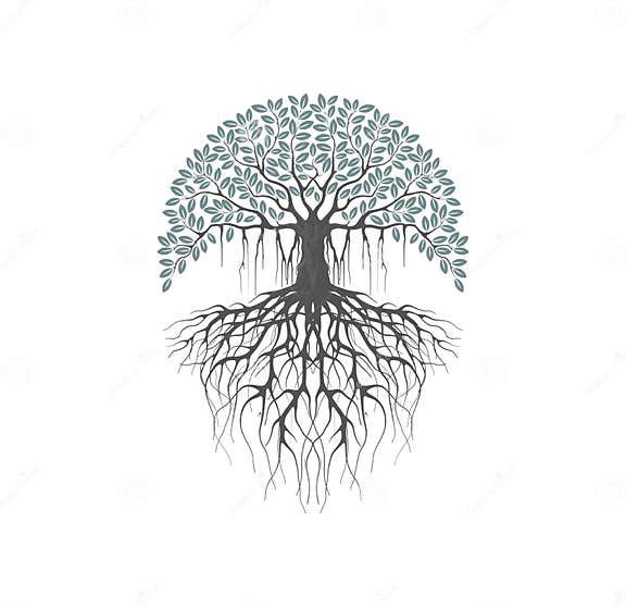 Printable Banyan Tree Image Vector Isolated Stock Vector - Illustration ...