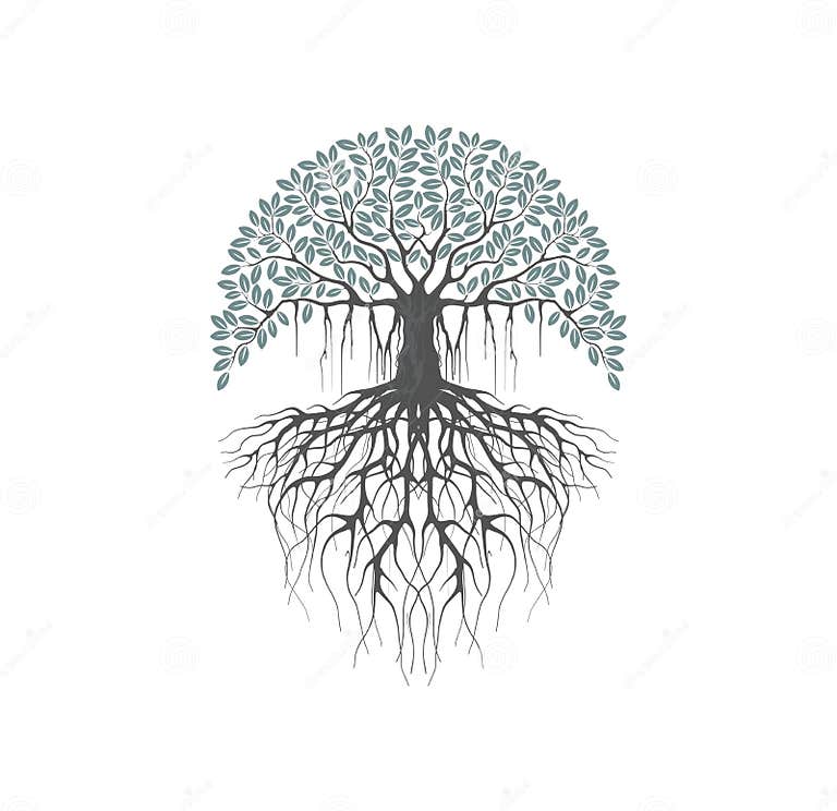 Printable Banyan Tree Image Vector Isolated Stock Vector - Illustration ...