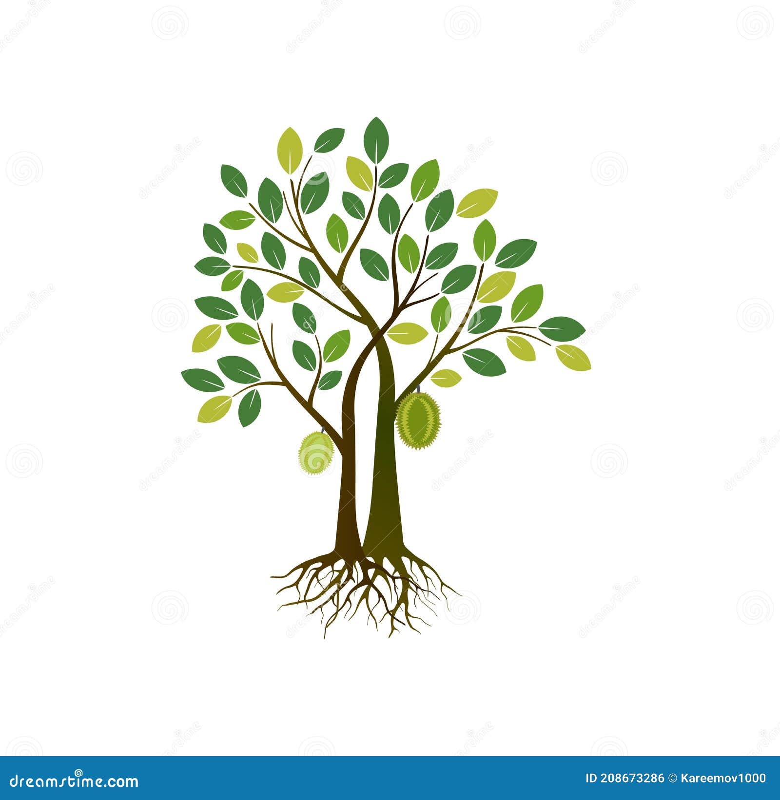 Durian Tree Vector Illustration Stock Illustration - Illustration of ...