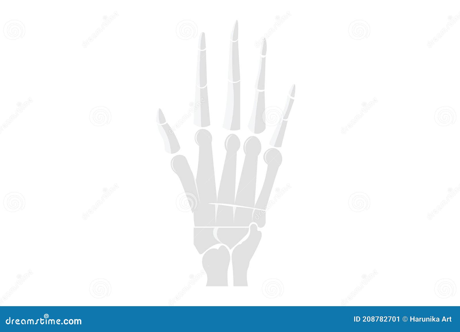 Vector Illustration of Human Skull Hand Stock Vector - Illustration of ...