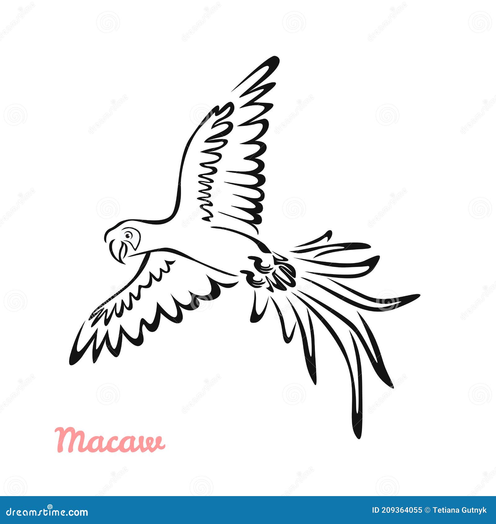 Macaw Outline Wing Stock Illustrations – 396 Macaw Outline Wing Stock ...