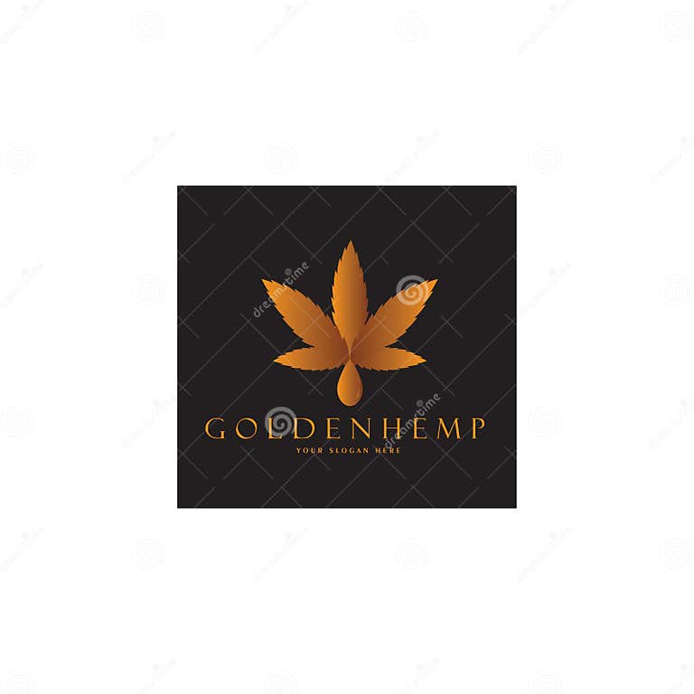 Luxury golden hemp logo stock vector. Illustration of medicine - 209395702