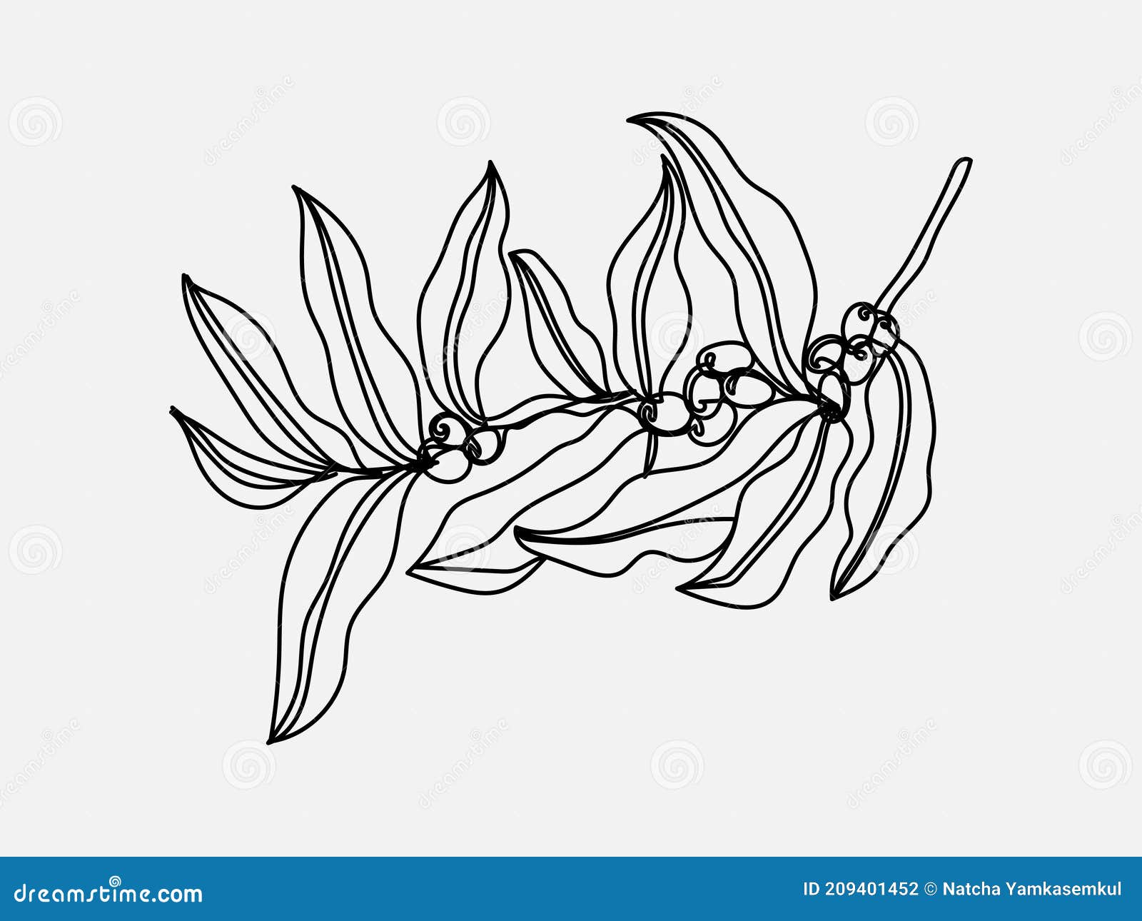 Coffee Tree Branch Continuous Line Vector Drawing. Isolated on a White ...
