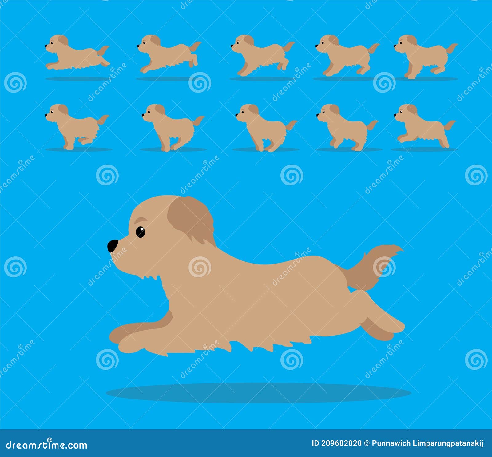 Animal Animation Sequence Dog Pyrenean Sheepdog Cartoon Vector ...