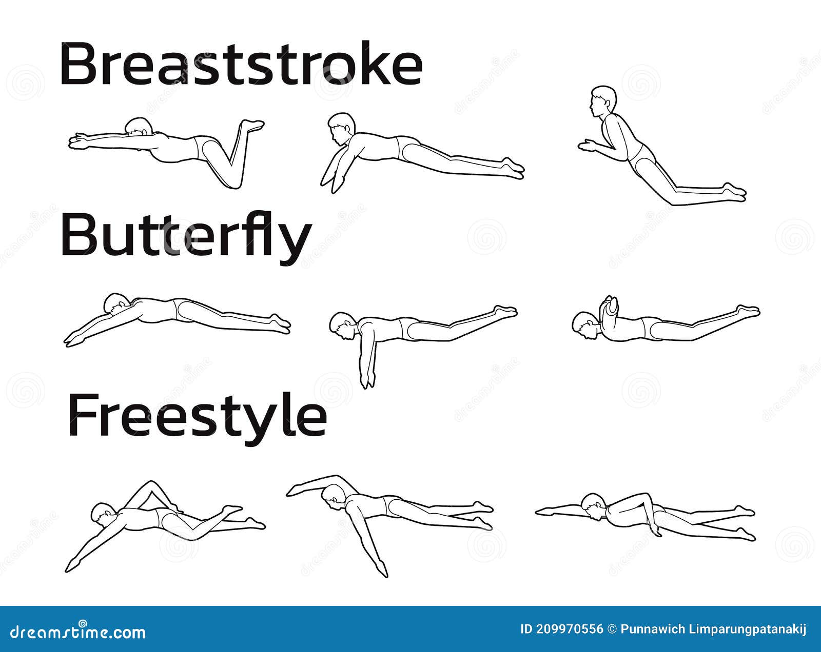 Swimming Type Poses Animation Motion Sequence Cartoon Vector Black and ...