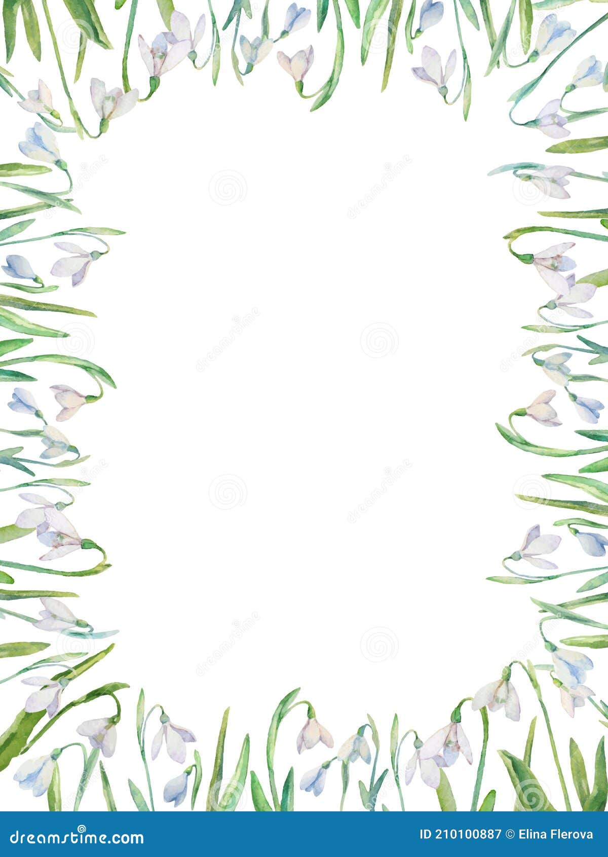 Snowdrops Vector Frame. Watercolor Snowdrops on White Background ...