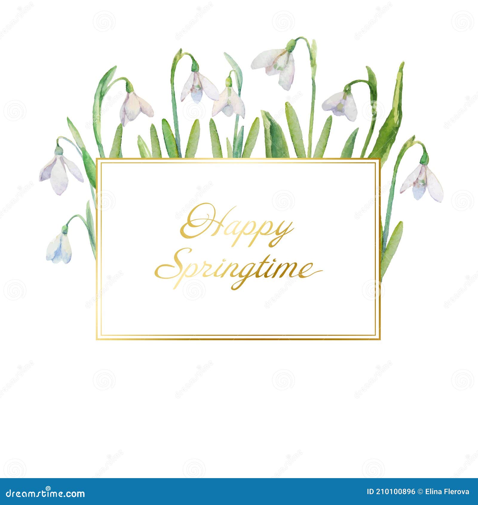 Snowdrops Vector Frame. Watercolor Snowdrops on White Background ...