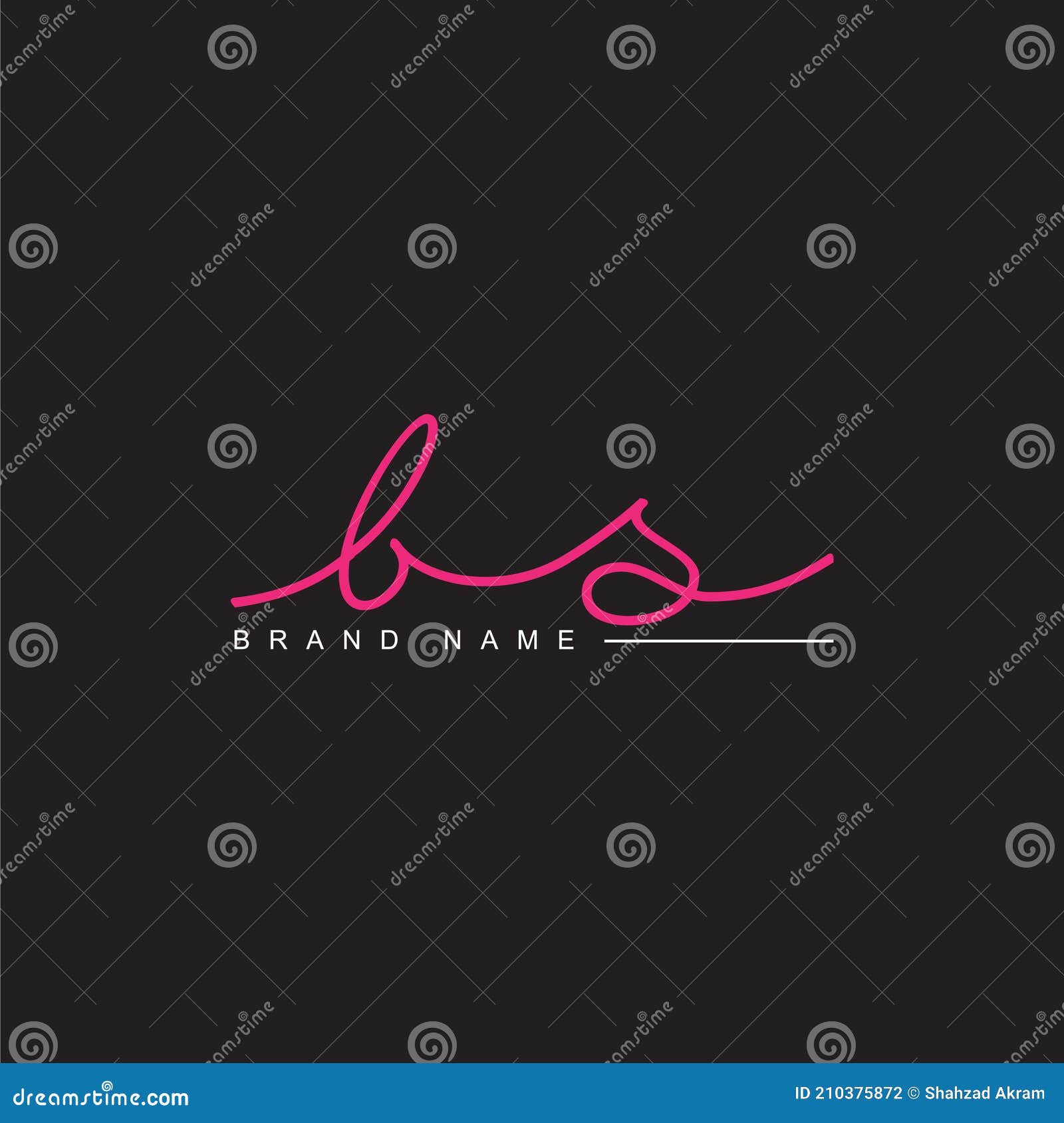 BS Initial Signature Logo - Handwritten Logo Stock Vector ...