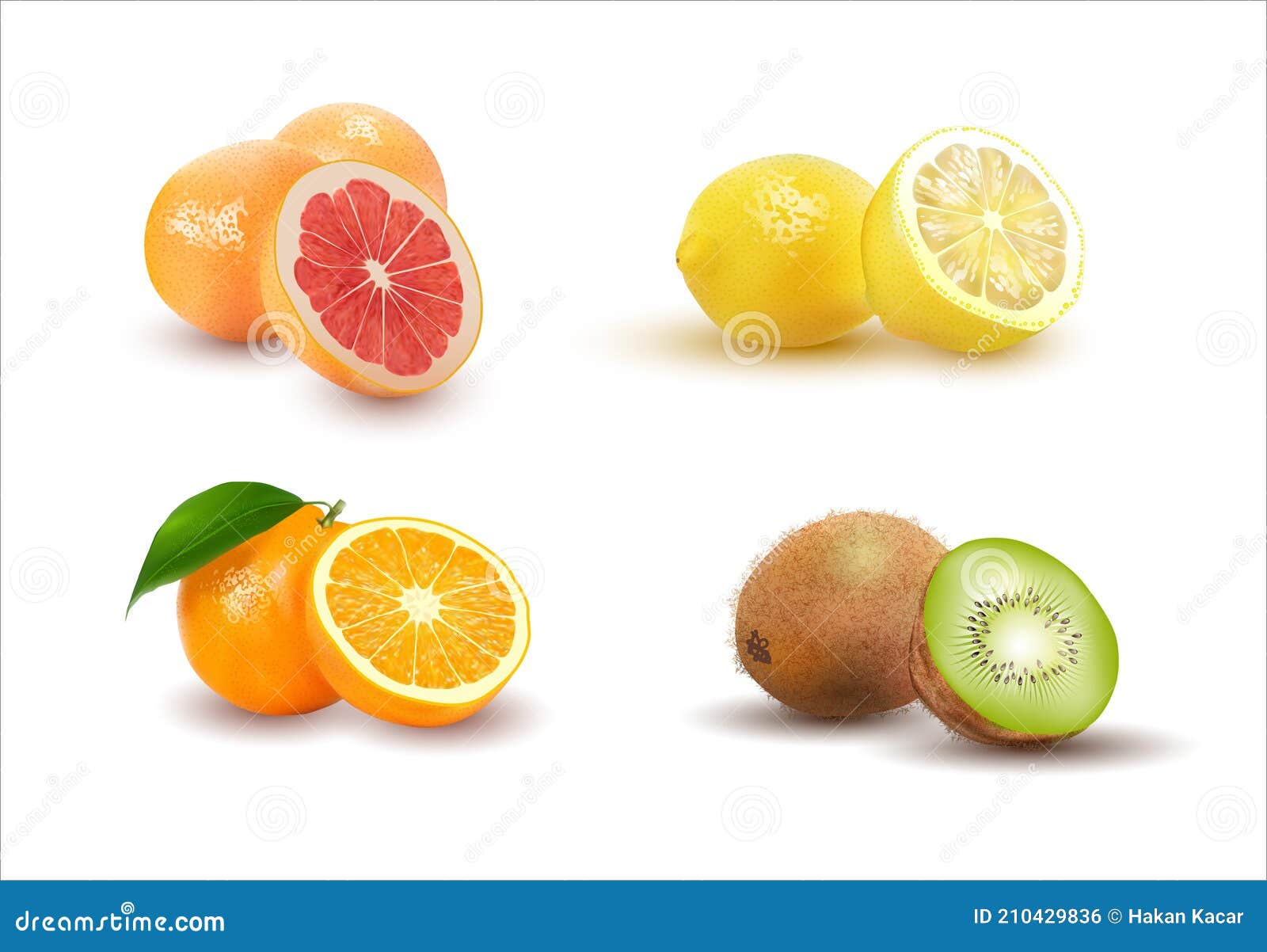 Fruits Realistic Set. Vector. Stock Vector - Illustration of garden ...