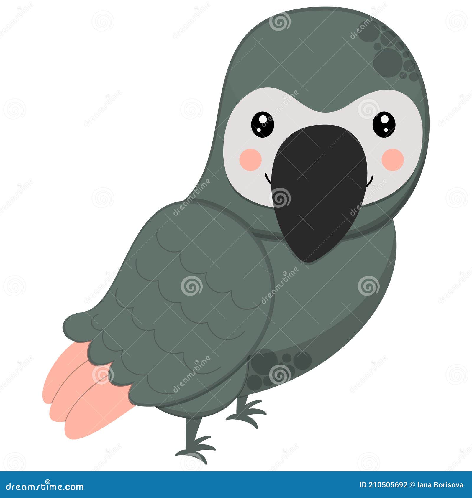 Cute Cartoon Character Gray Parrot On A White Background. Vector ...