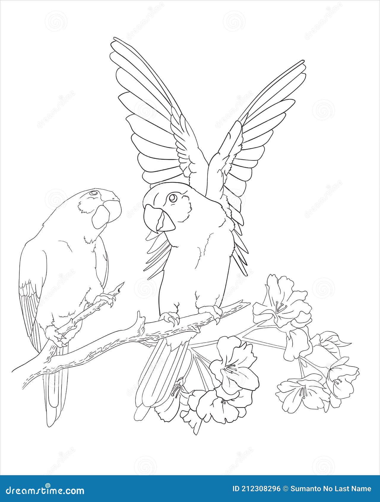 Print Couple Of Birds And Flower Coloring Page Vector Illustration ...