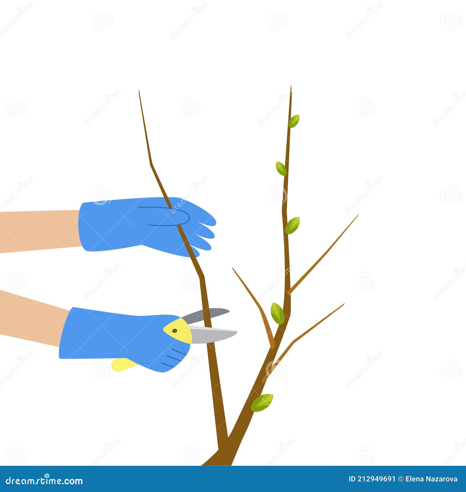 Tree Pruning. Branches Trimming Stock Vector - Illustration of isolated ...