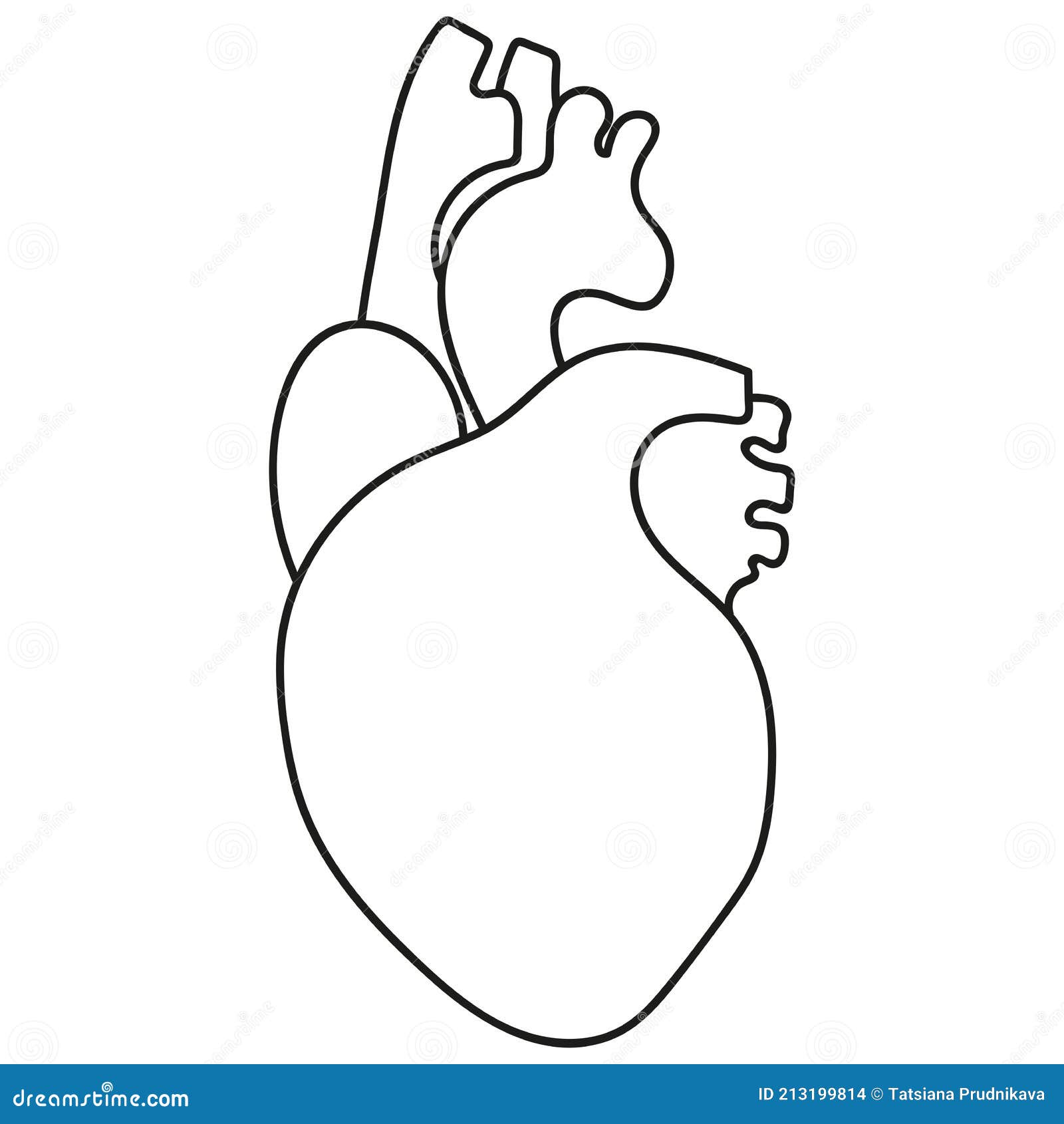 Heart in doodle style stock vector. Illustration of medicine - 213199814