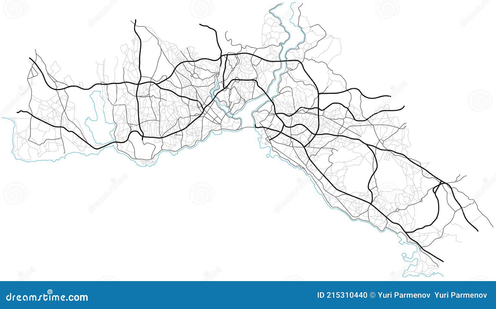 Vector Istanbul City Map Turkey - Town Streets on the Plan. Monochrome ...