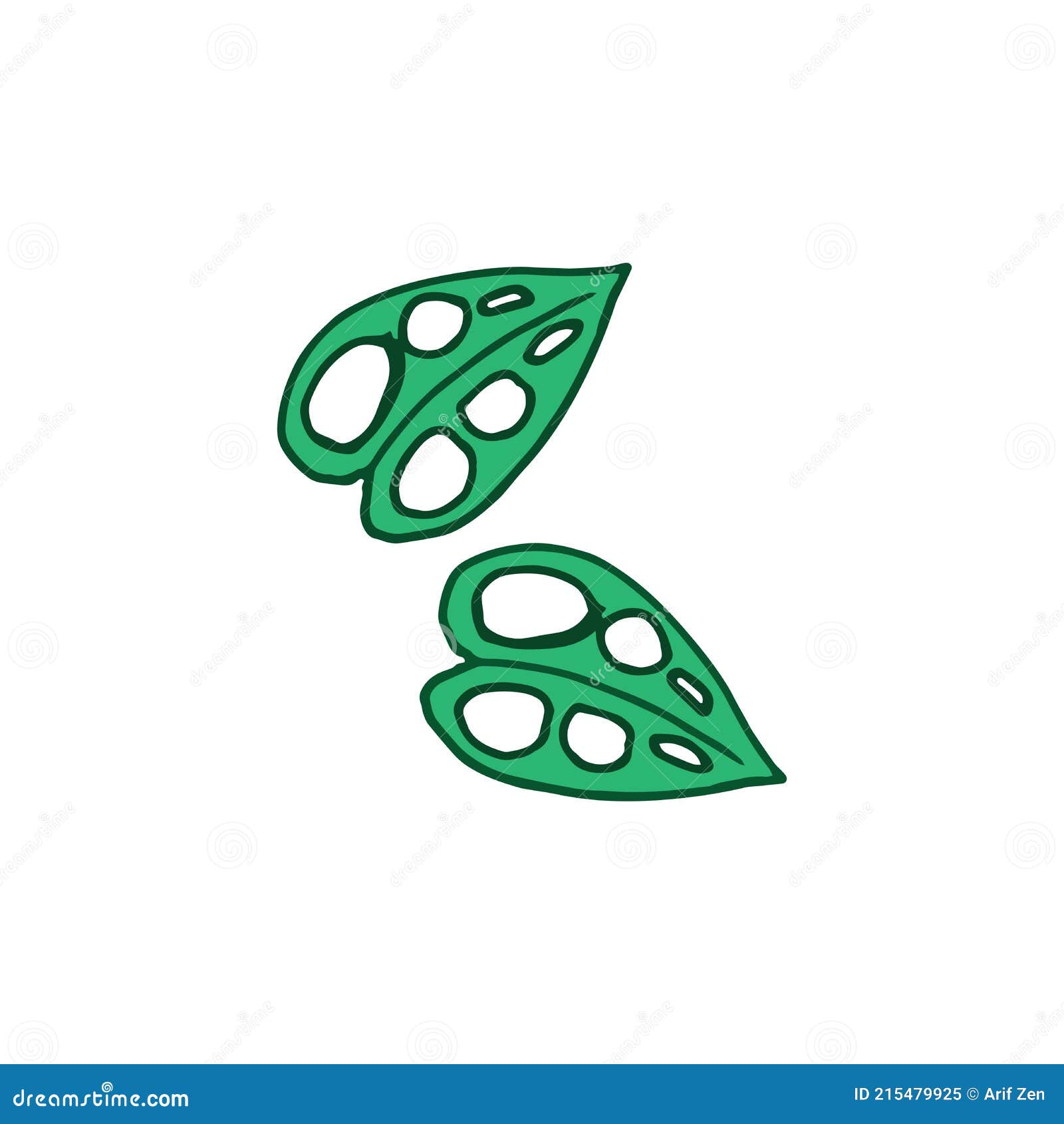 Janda Bolong Or Monstera Obliqua Plant, Leaf Silhouette Isolated On ...