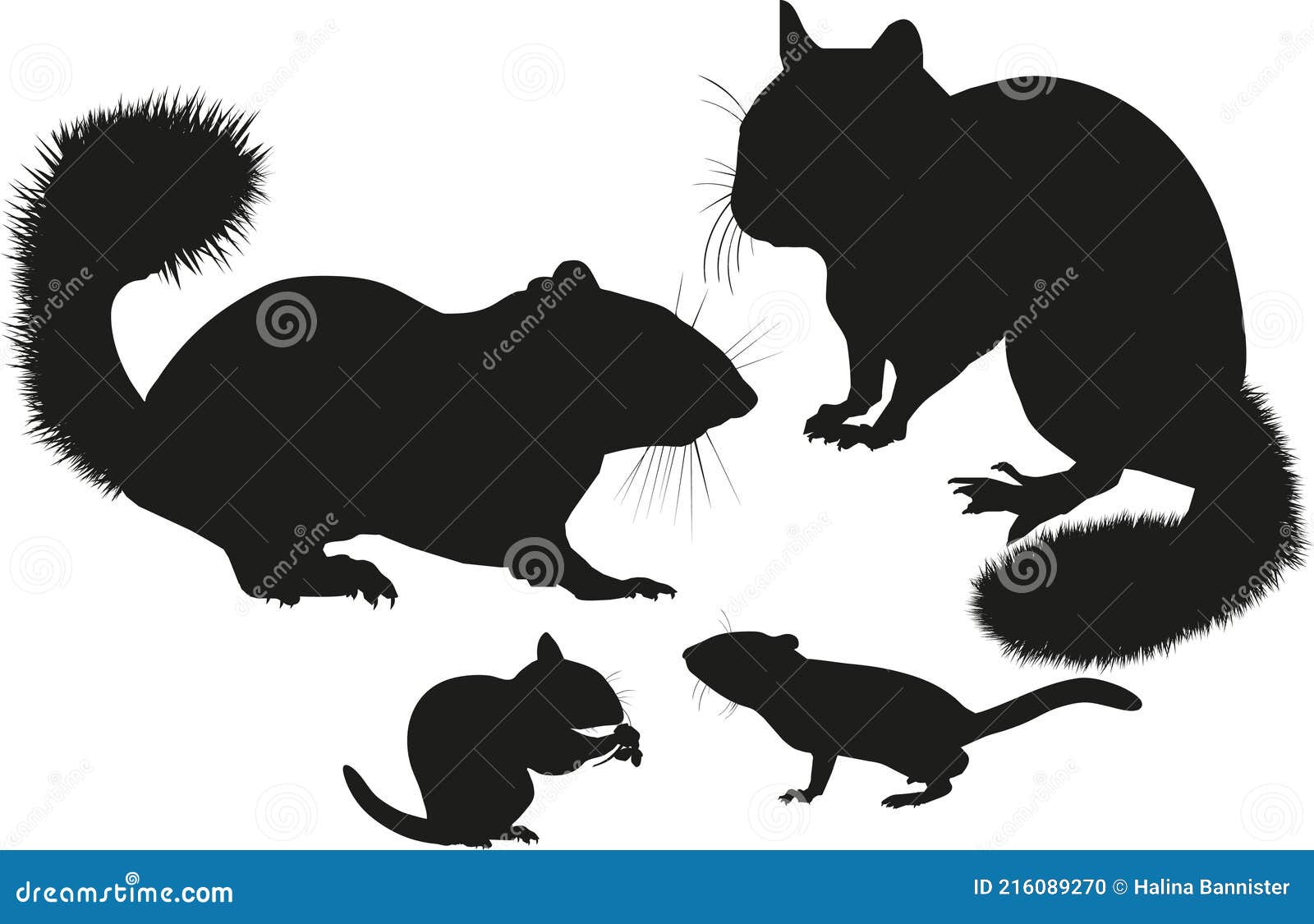 Chipmunk family stock vector. Illustration of chipmunk - 216089270