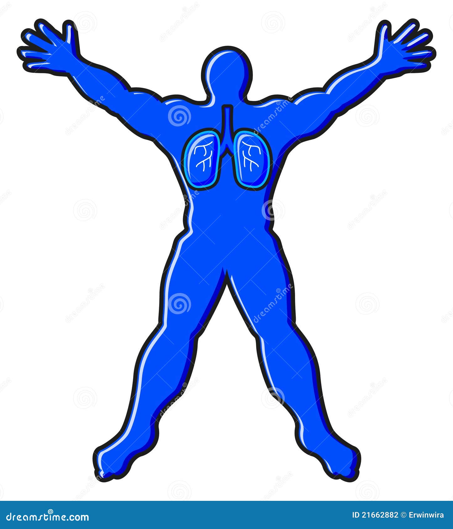 Print stock illustration. Illustration of biology, chest - 21662882