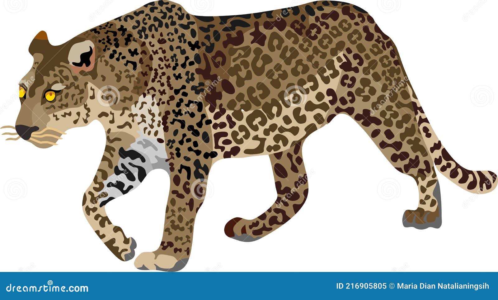 Dotted Leopard Mammal Animal Vector Illustration Stock Vector ...