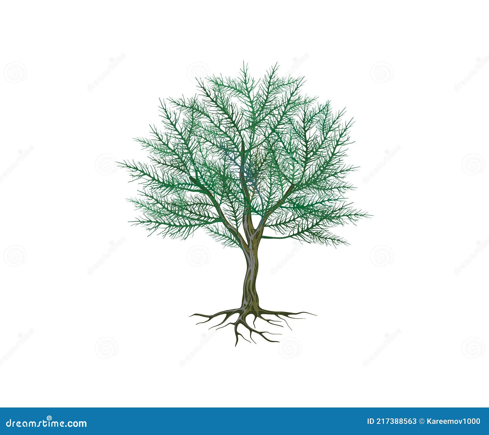 Printable Gharqad Tree Image Stock Vector - Illustration of indian ...
