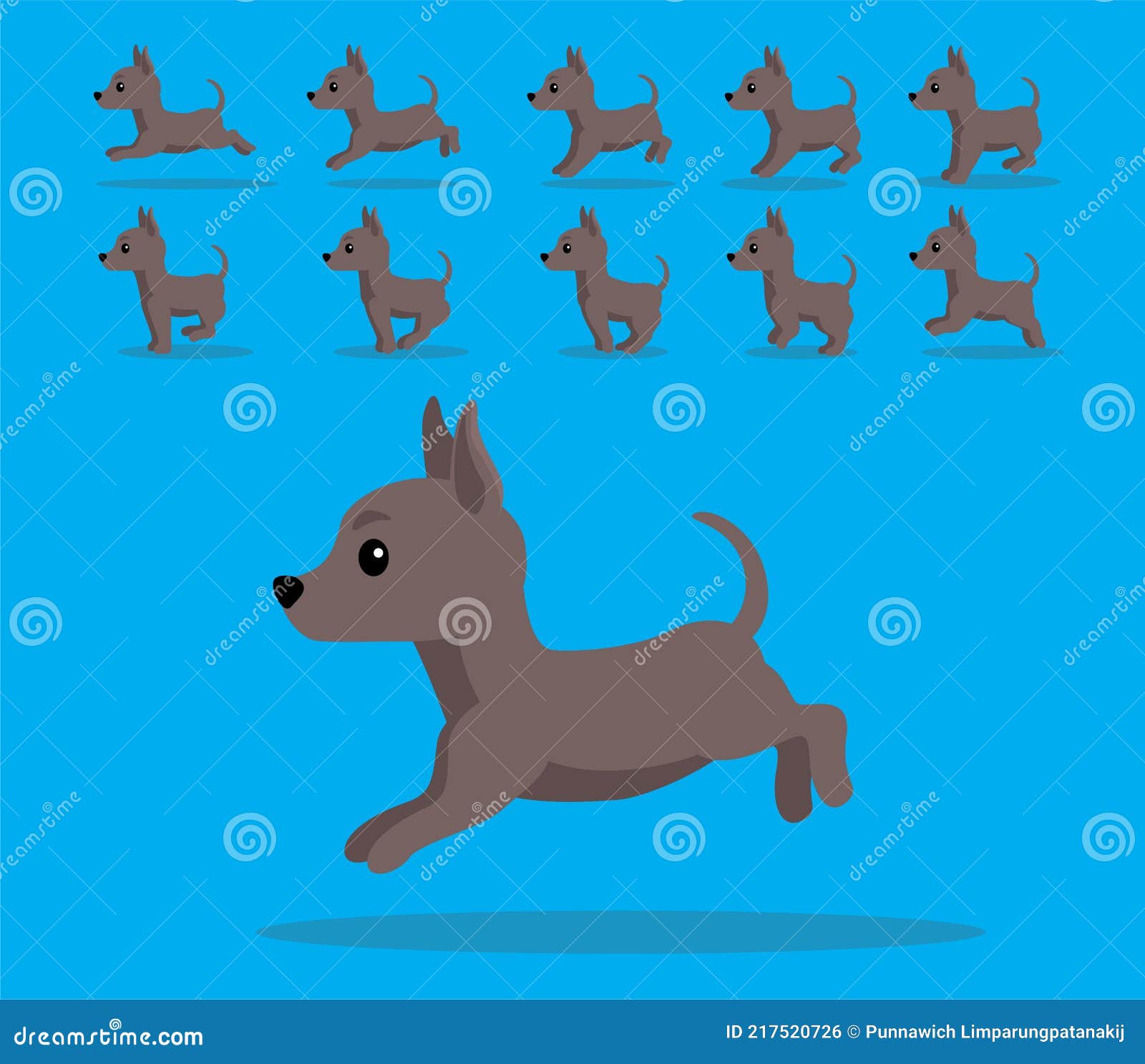 Animal Animation Sequence Dog Xoloitzcuintle Cartoon Vector ...