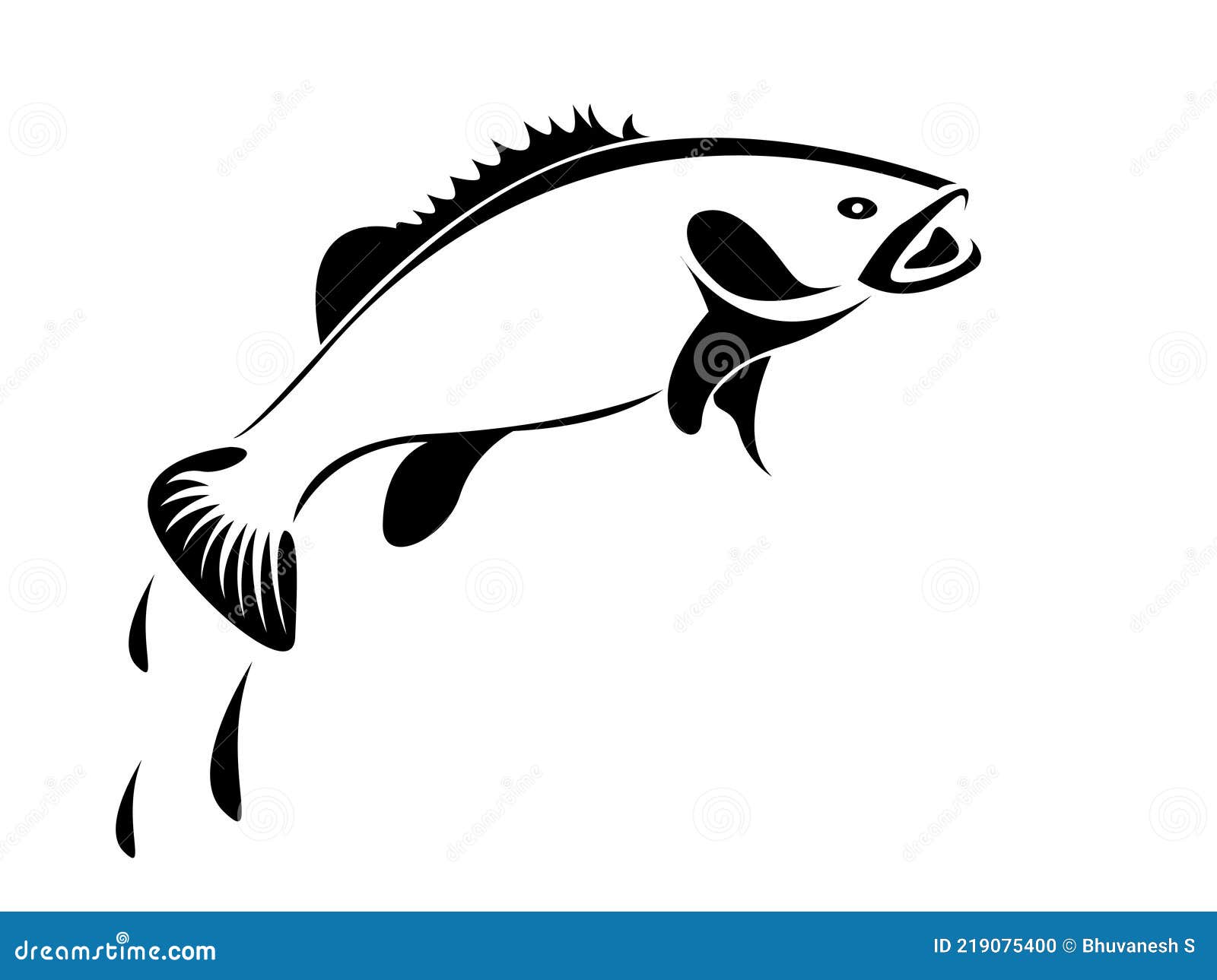 Digital Art of Murray Cod Fish Jumping Over Stock Vector - Illustration ...