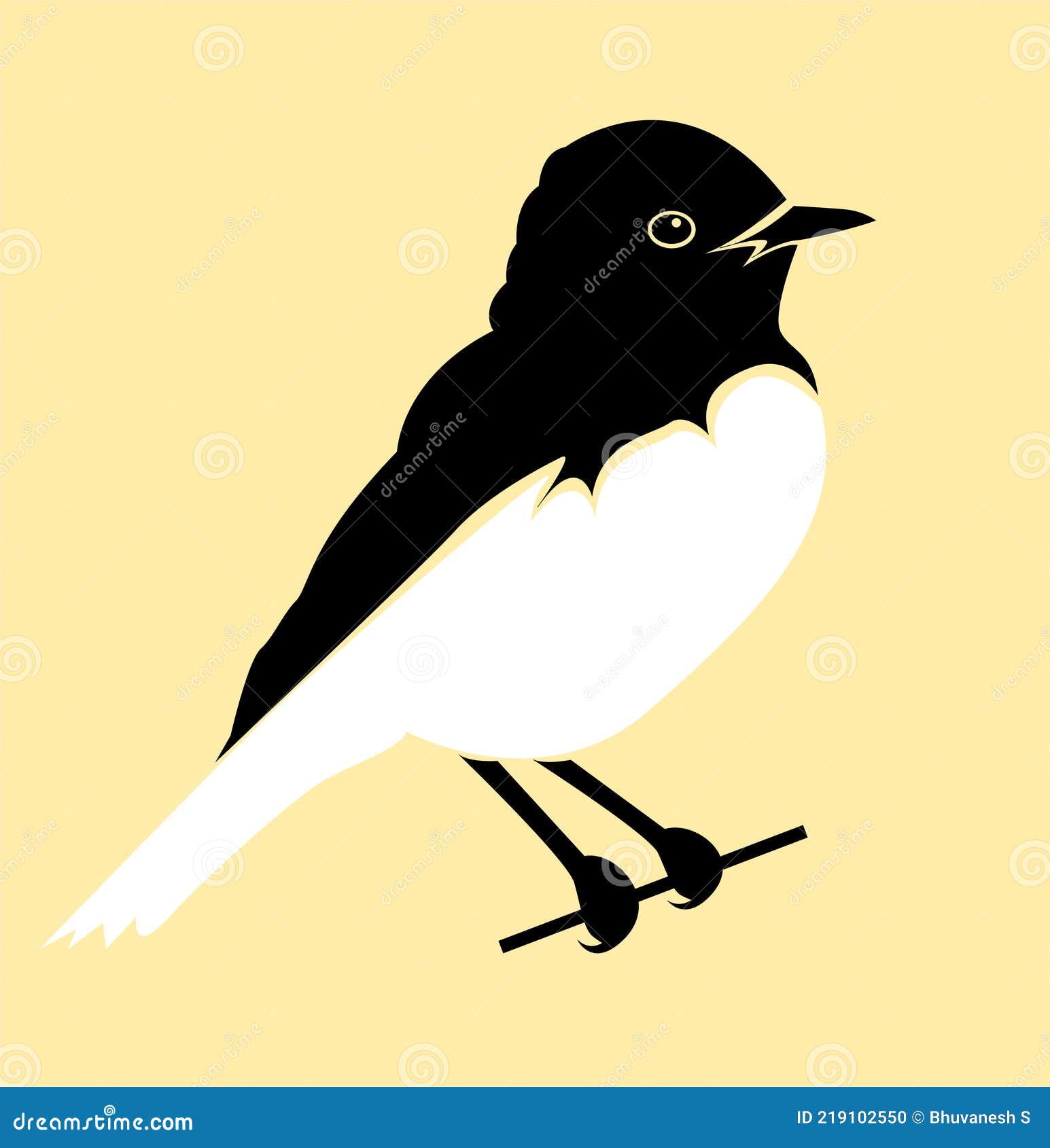 Black and White Variable Wheatear Bird Stock Vector - Illustration of ...