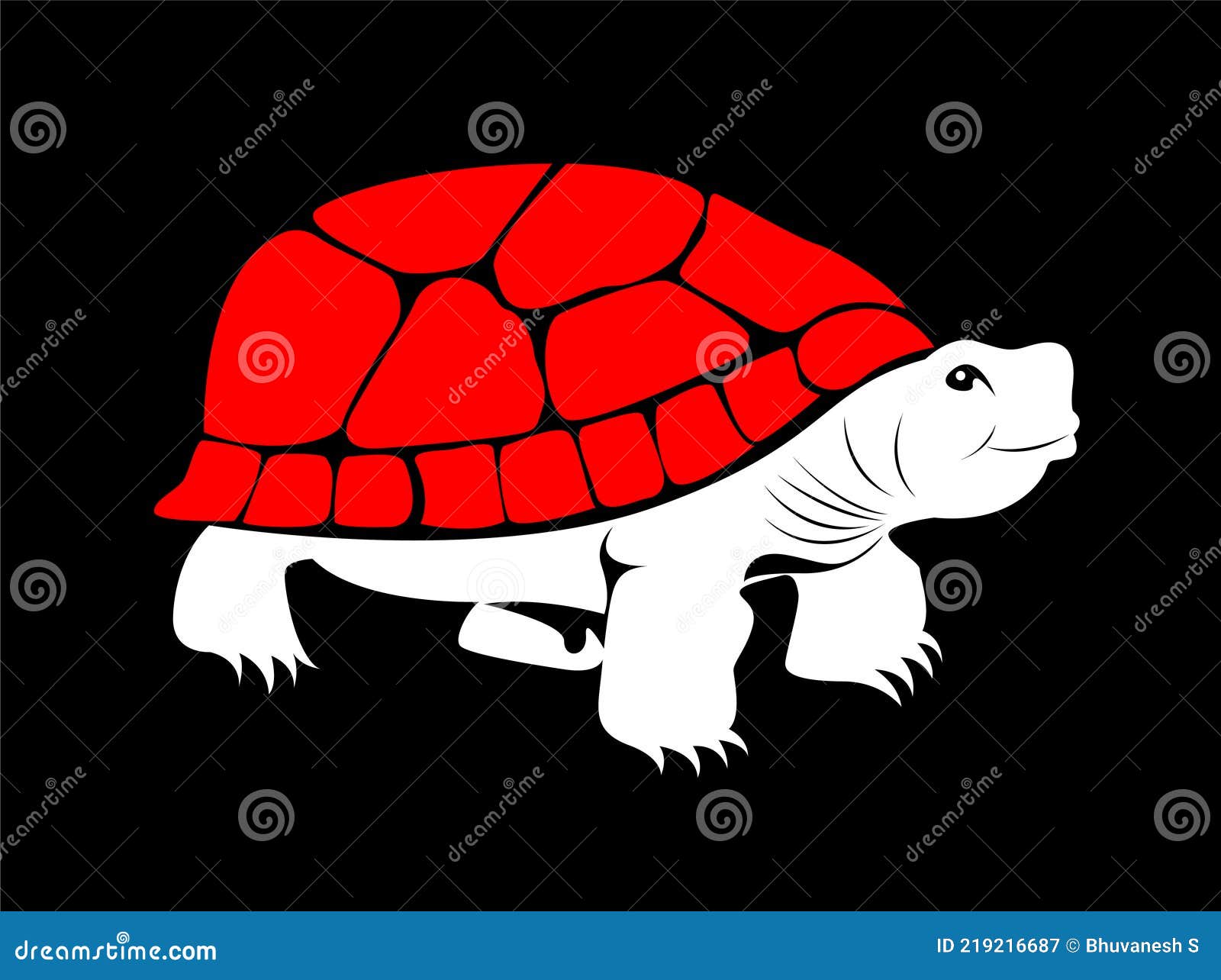 Beautiful Red Turtle Isolated on Black Background Stock Vector ...