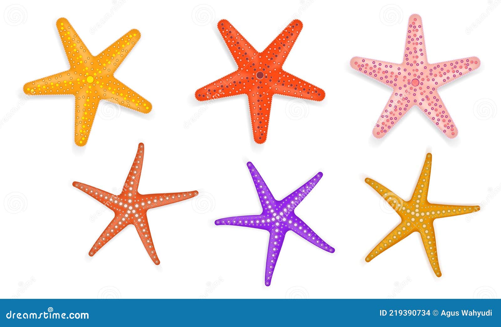 Set of Realistic Starfish with Various Color or Summer Design Element ...