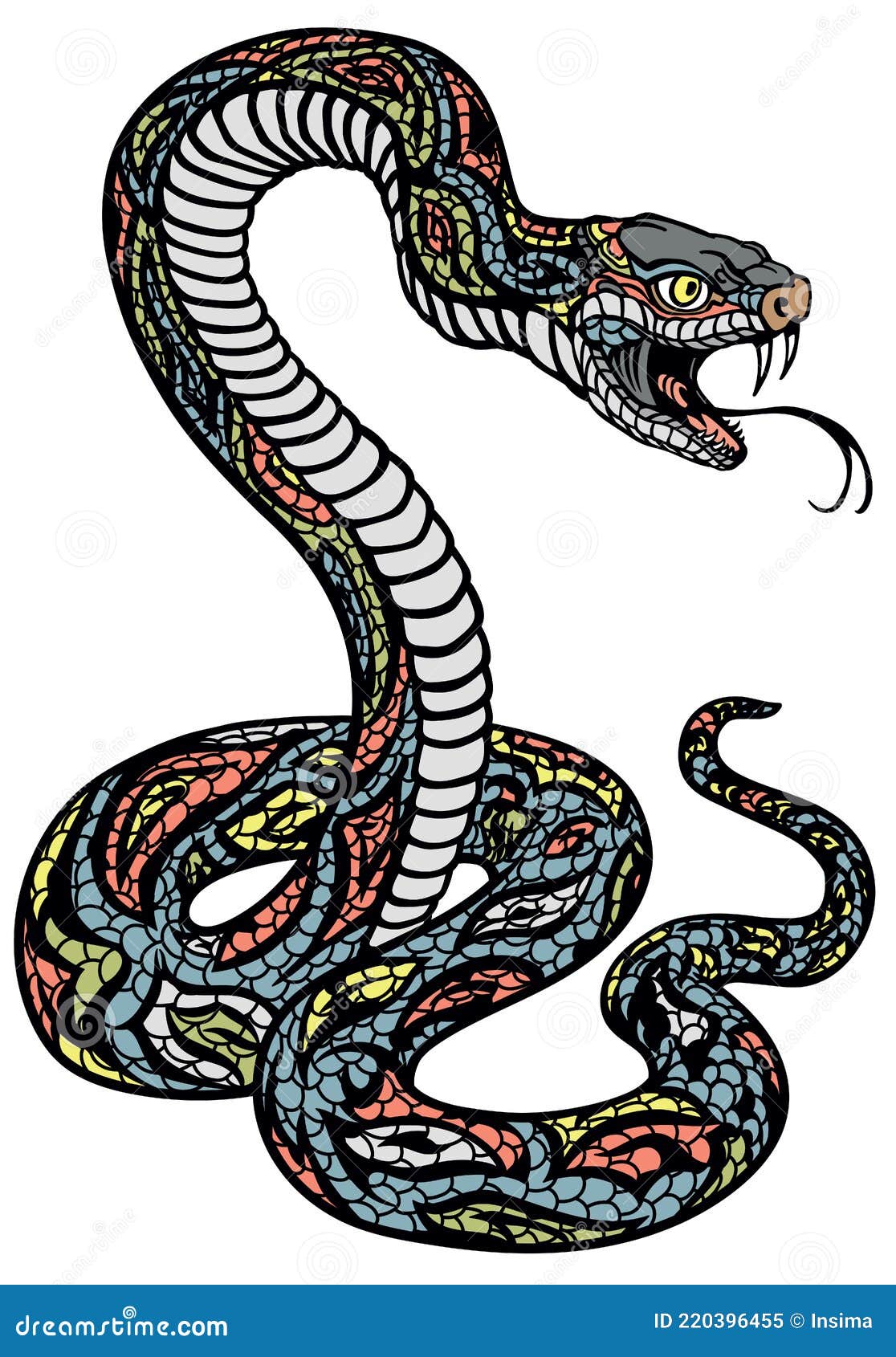 A Poisonous Snake in a Attacking Position. Isolated Vector Stock Vector ...