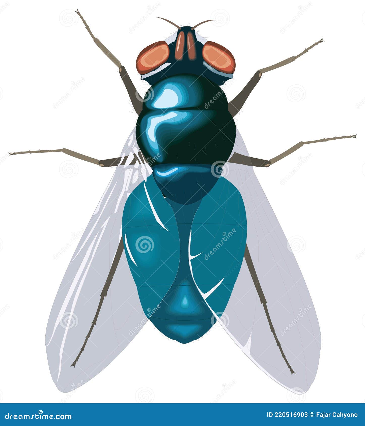 Blue Flies Fly Insect Vector Illustration Transparent Background Stock ...