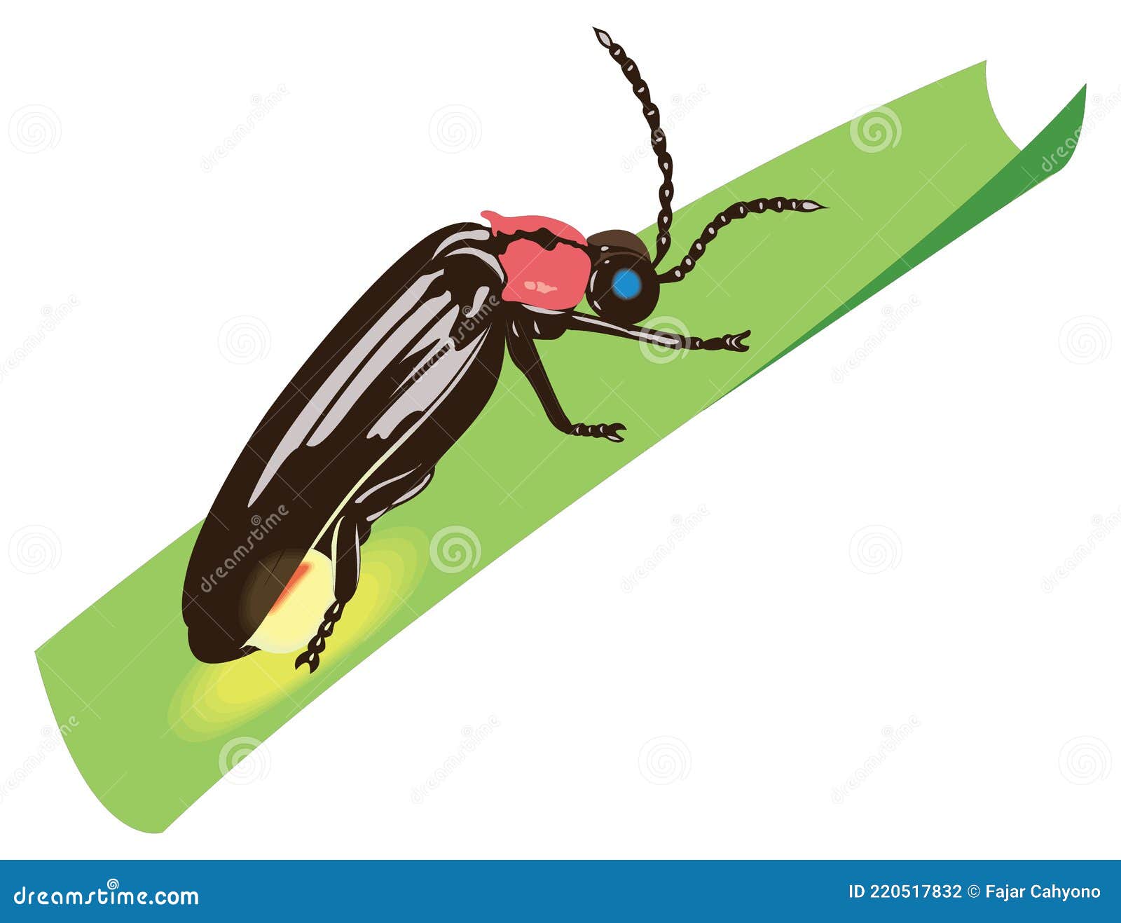 Firefly Insect Cartoon Illustration Isolated On White Background ...