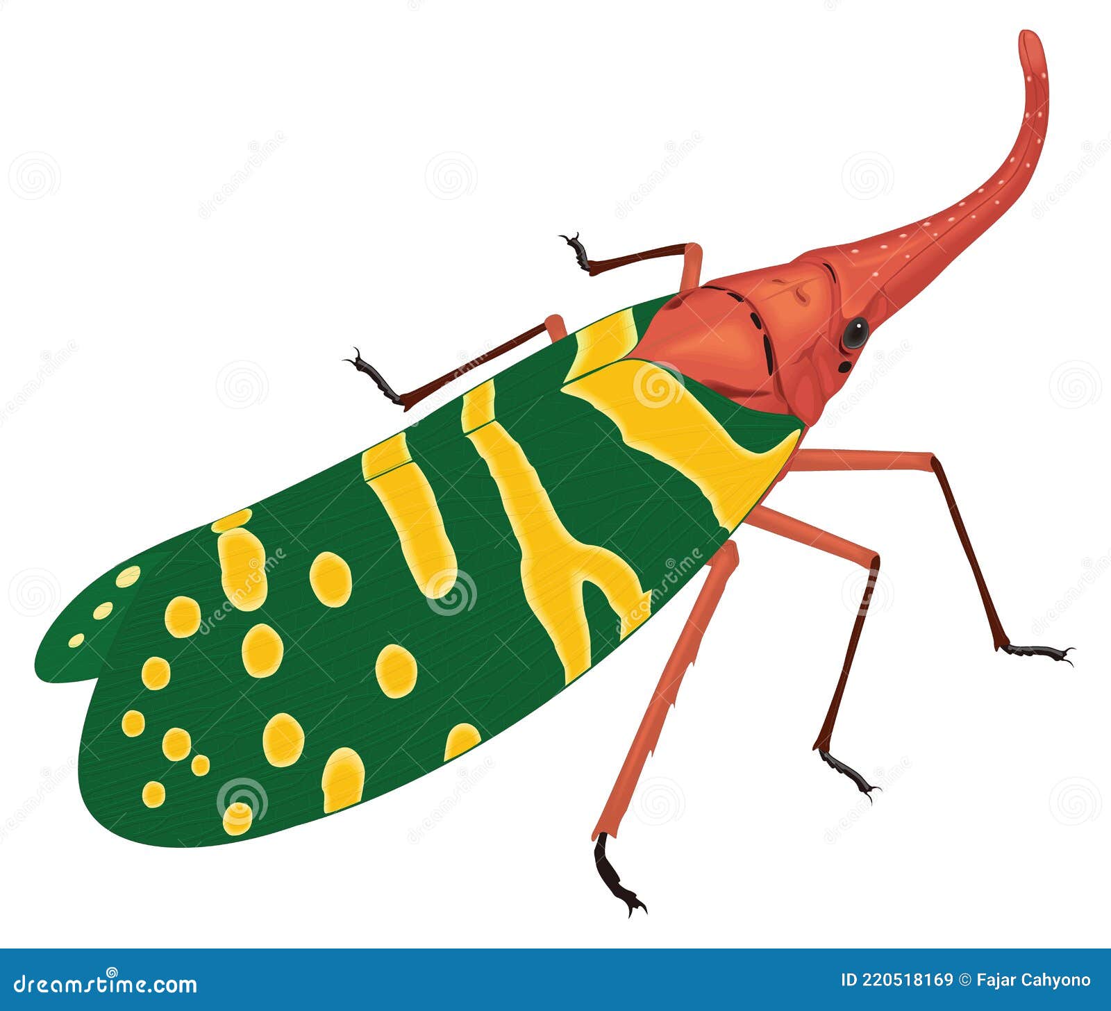 Fly Insect Vector Illustration Transparent Background | CartoonDealer ...
